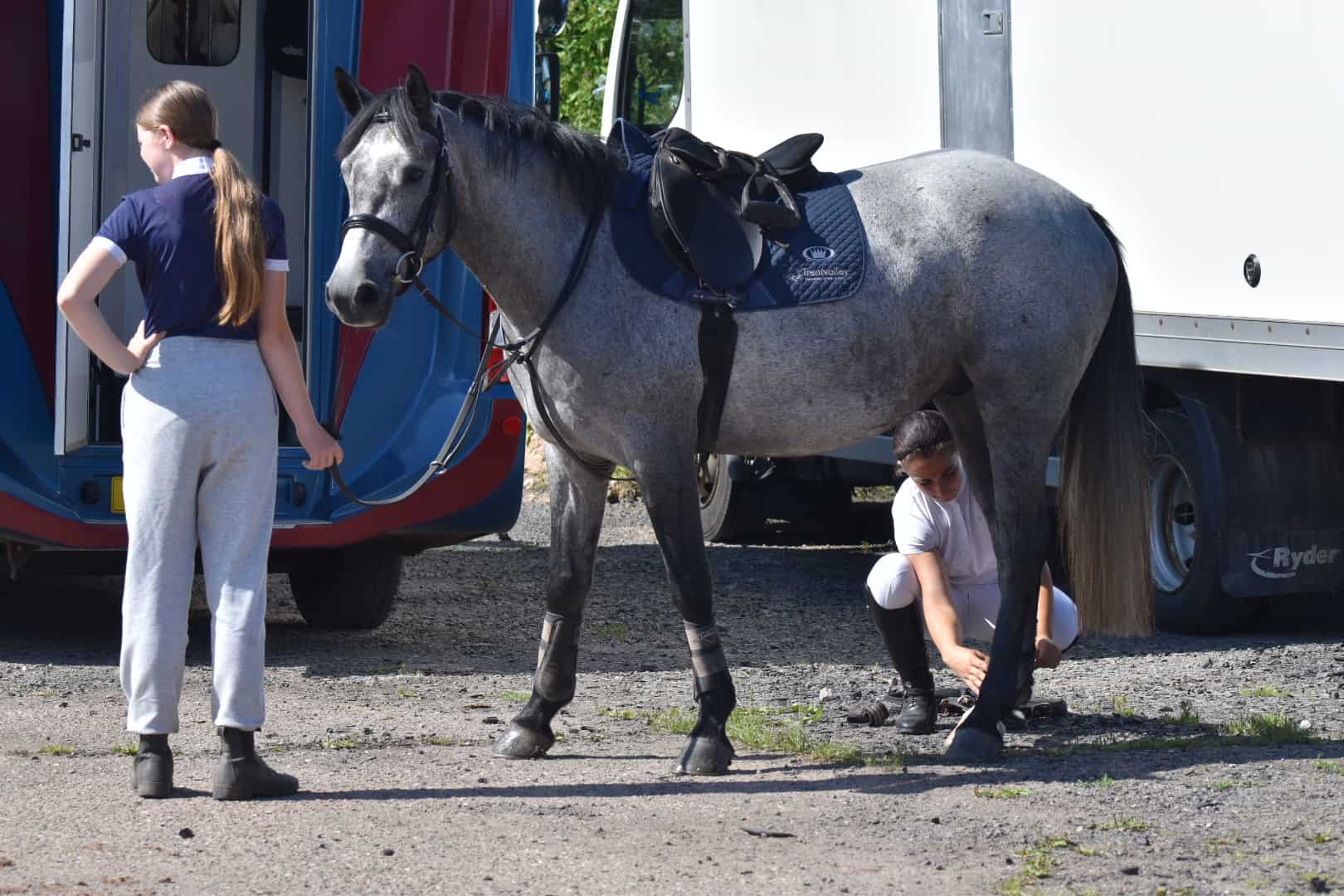 Events Calendar – Professional Equine Services